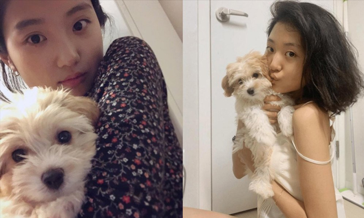 Song Hee Jun es acusada de abandonar a su mascota | KpopLat