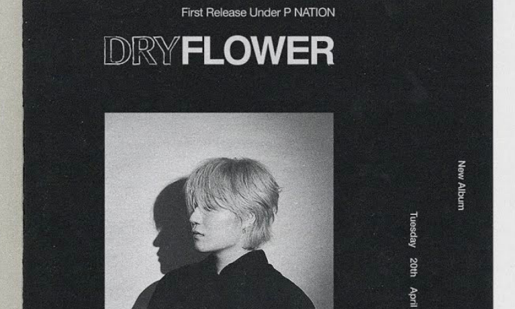 PENOMECO lanza ‘Dry Flower’, su primer álbum como parte de P NATION ...